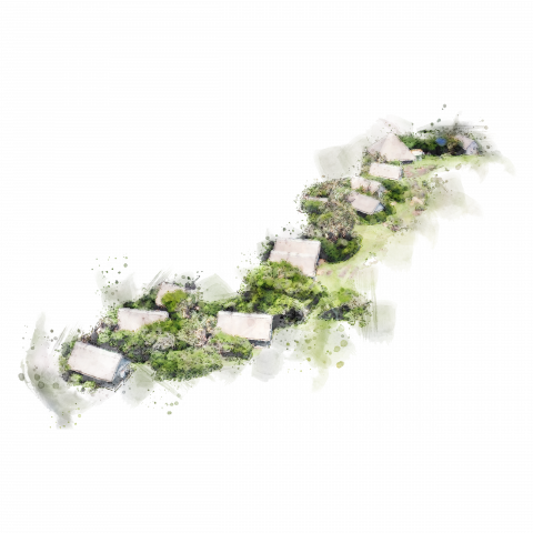 Home | Pondo Beach Camps